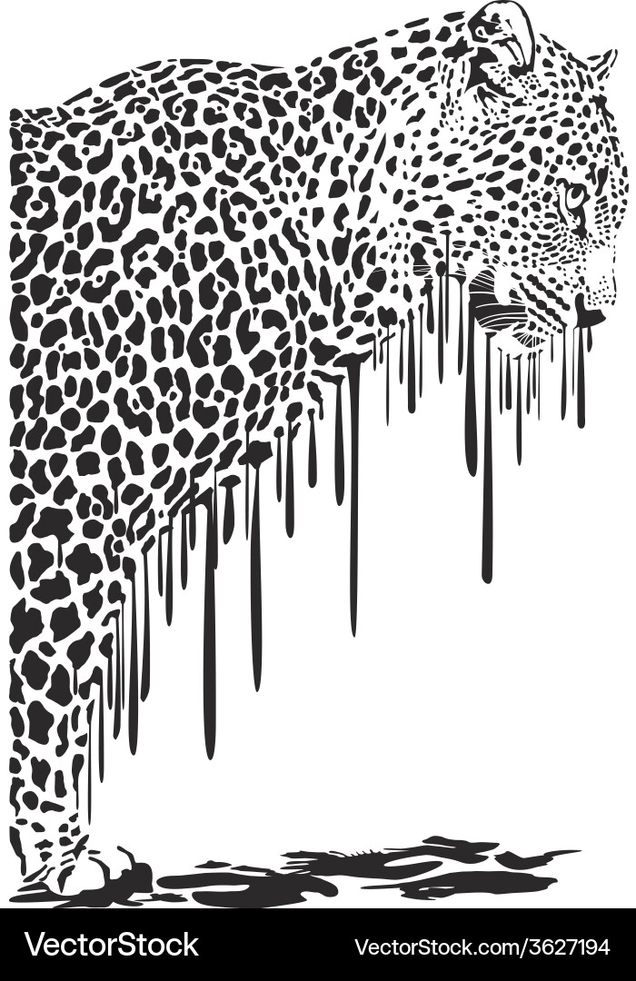 Leopard abstract painting on a white background Vector Image