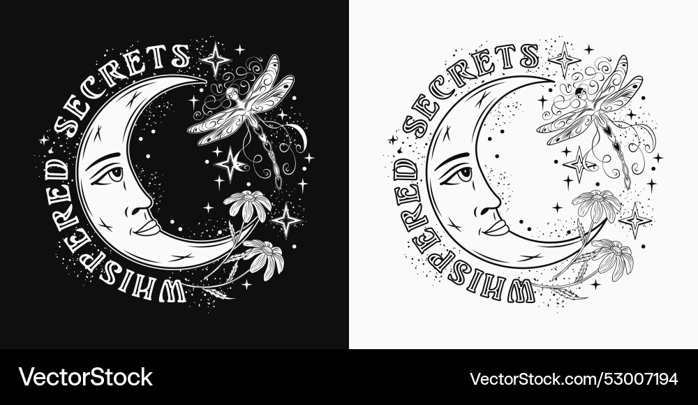 Mystical label with moon faerie dragonfly text Vector Image