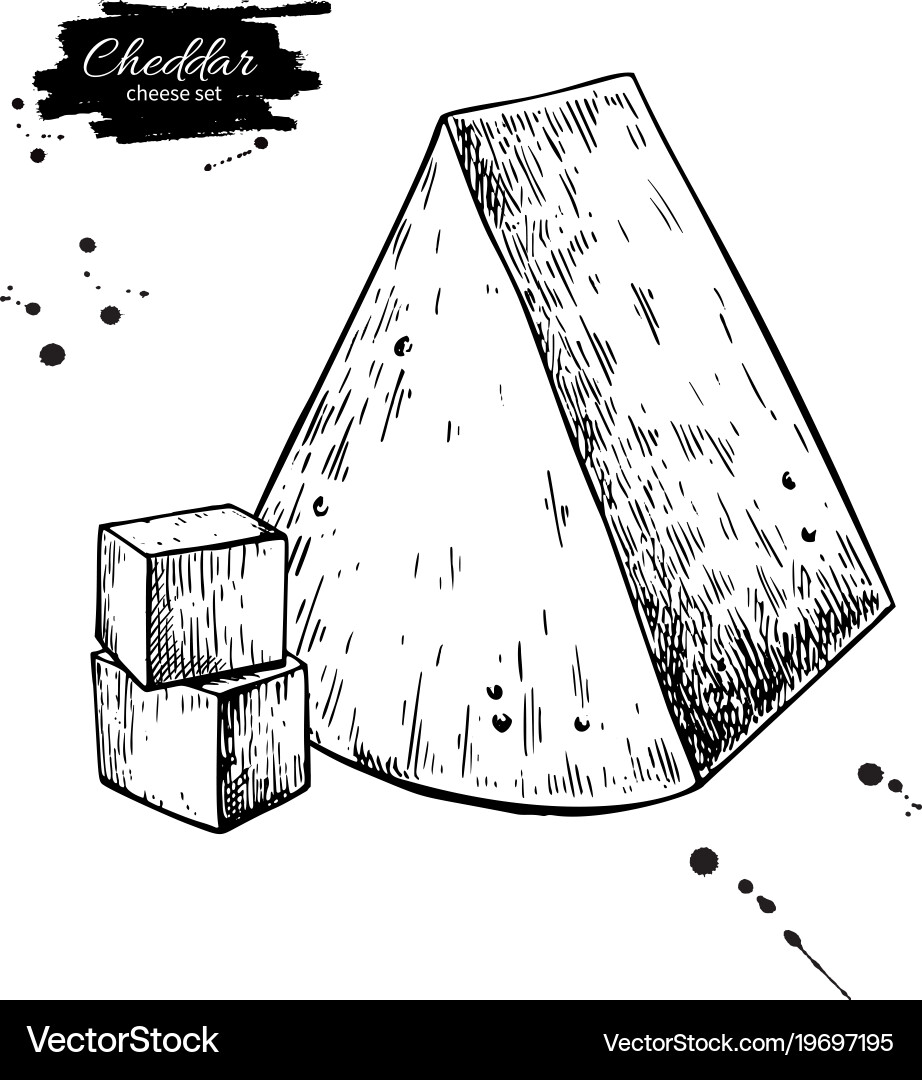 Cheddar Käse Zeichnen von Hand gezogenes Essen Vektorbild