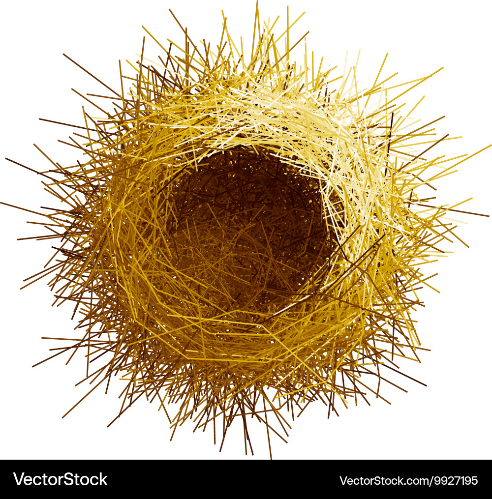 Rustic Birds Nest - Top View Royalty Free Vector Image