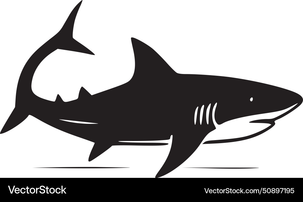 Shark - minimalist and simple silhouette Vector Image