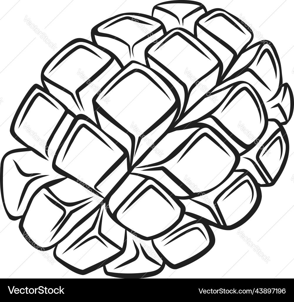 Mango cubes Royalty Free Vector Image - VectorStock
