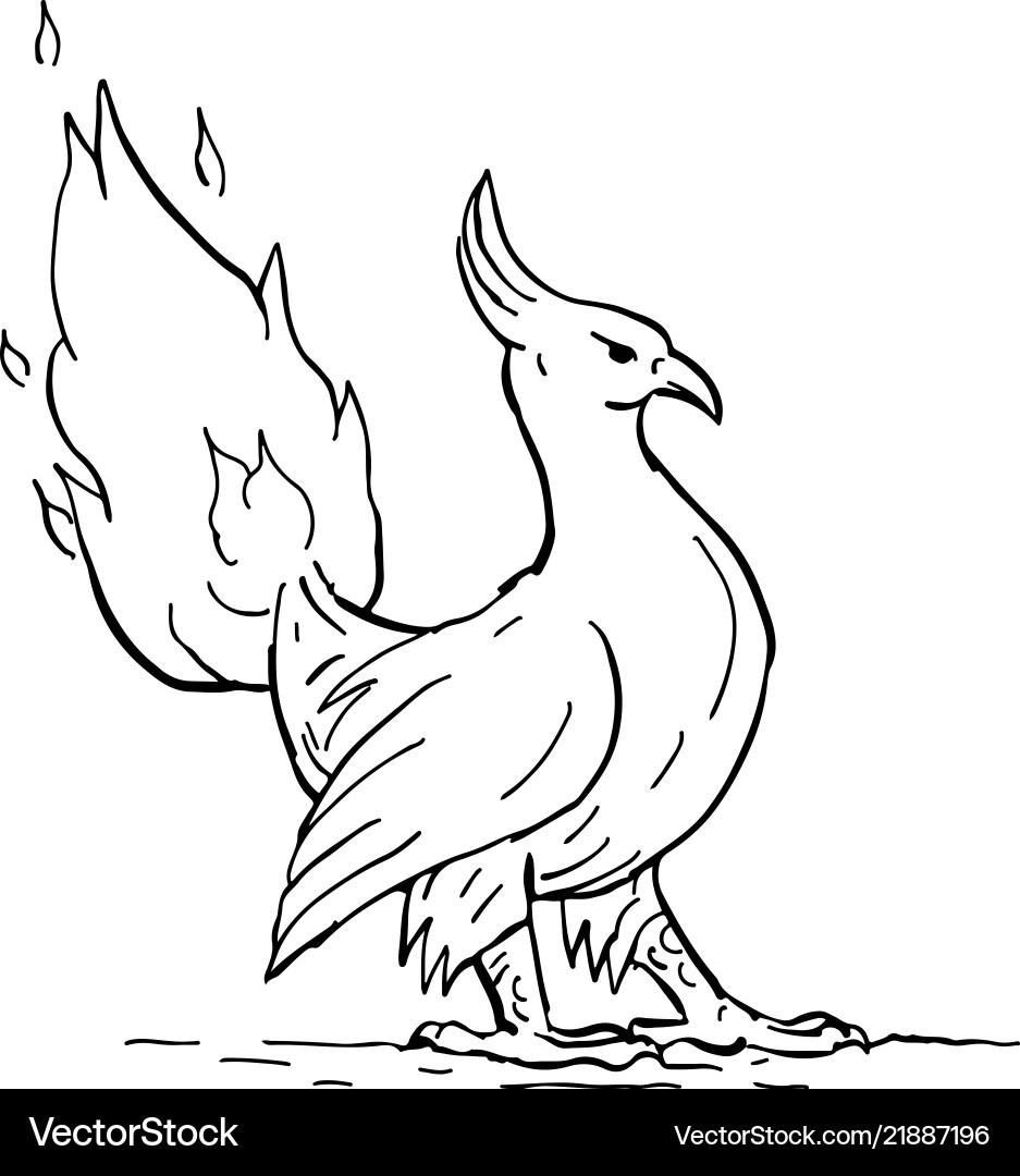 Phoenix burning tail drawing Royalty Free Vector Image