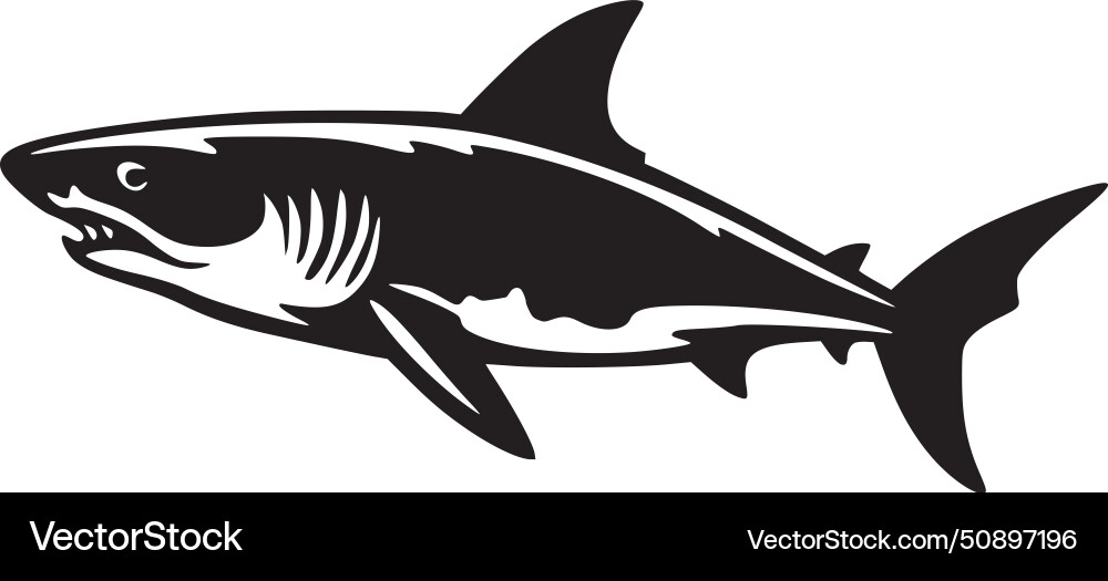Shark - high quality logo ideal for t-shirt Vector Image
