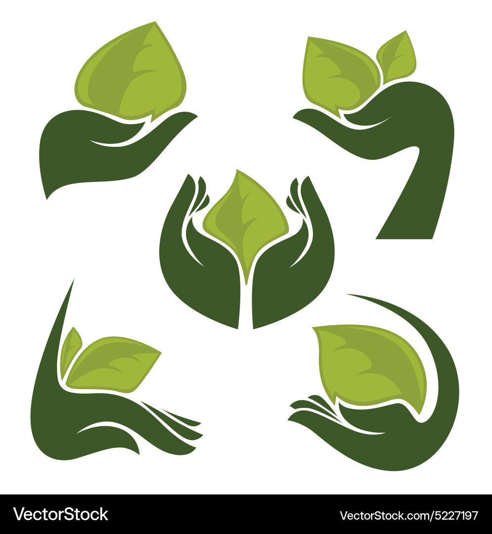Hands and leaves Royalty Free Vector Image - VectorStock