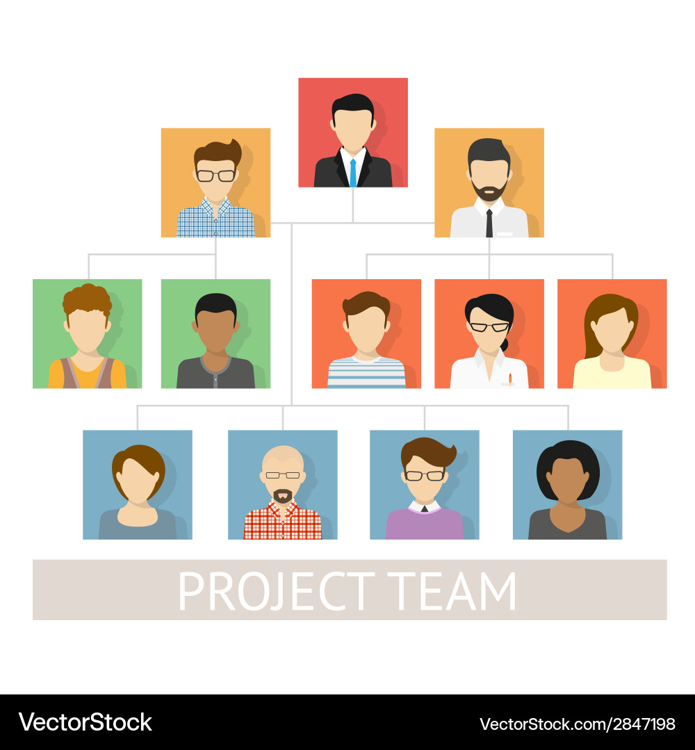 Project team organization Royalty Free Vector Image