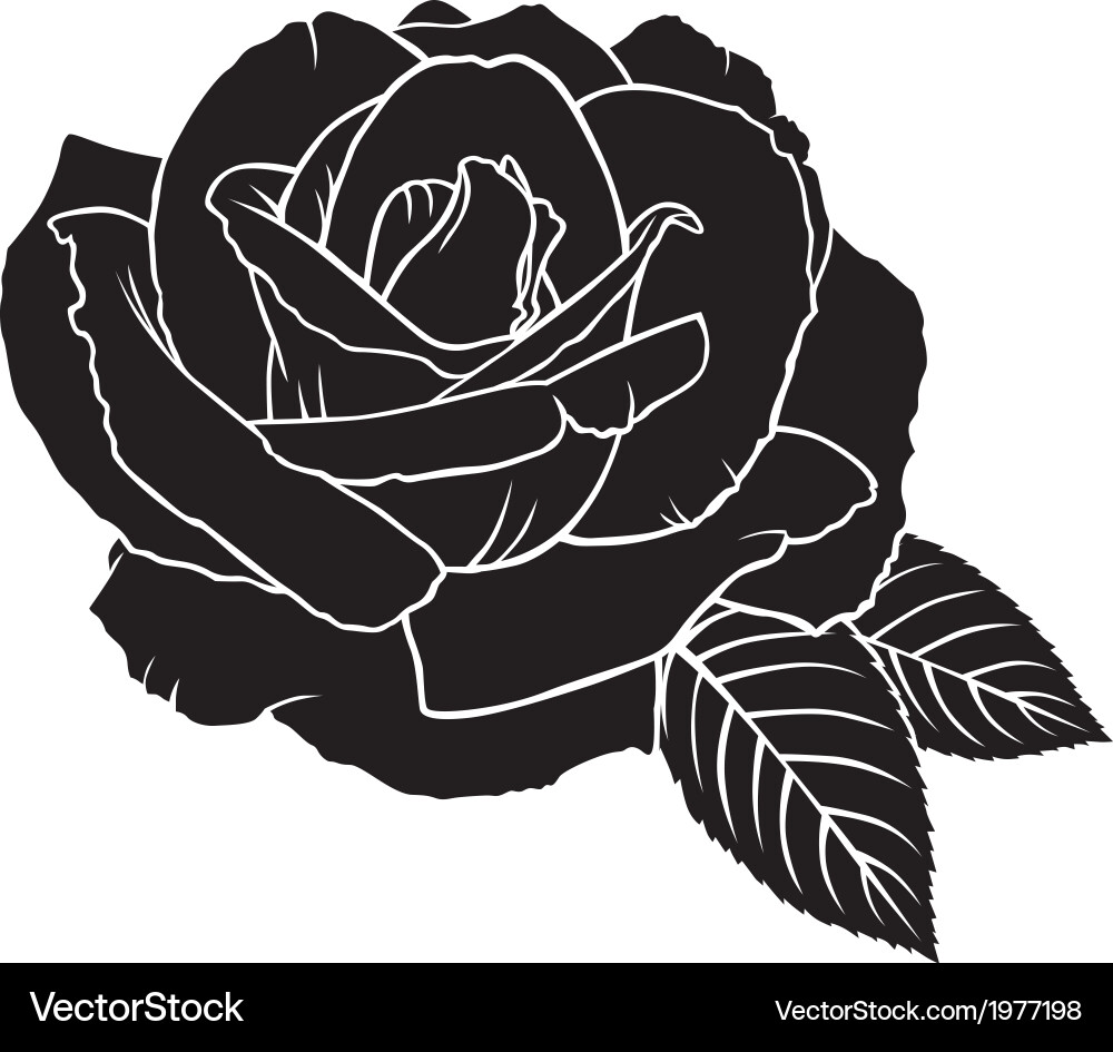 Rose leaves Royalty Free Vector Image - VectorStock