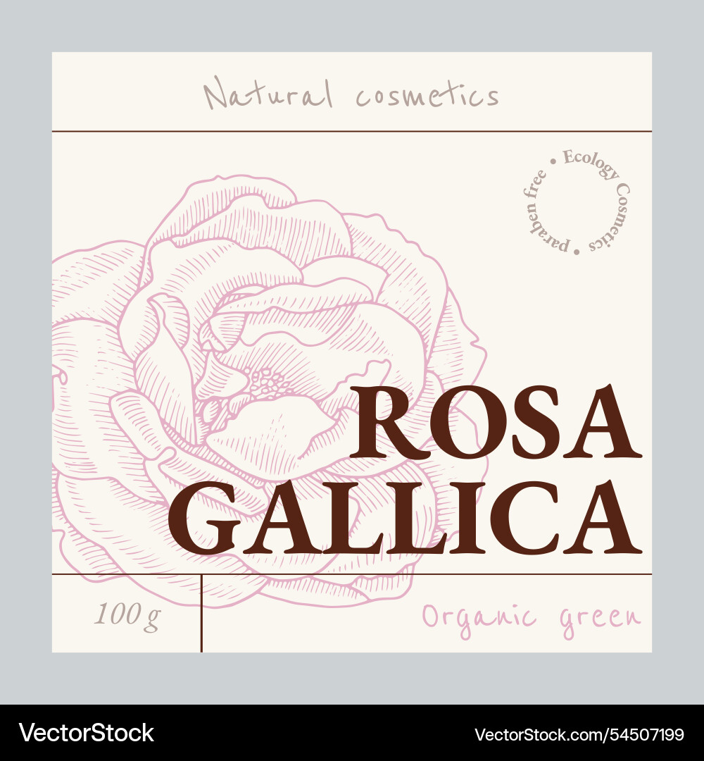 Rosa gallica label template Royalty Free Vector Image