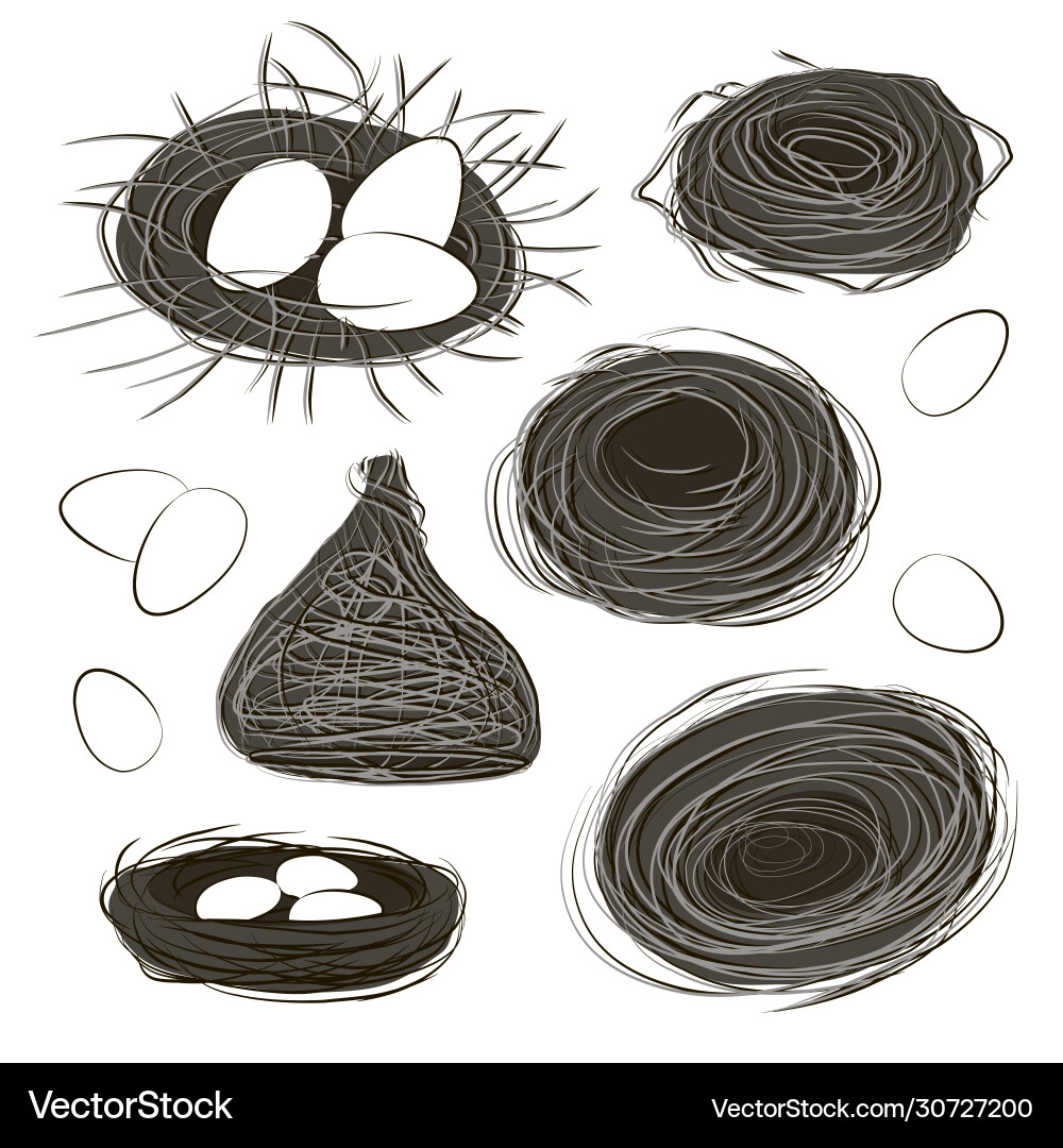 Nest set and hatching chicken Royalty Free Vector Image