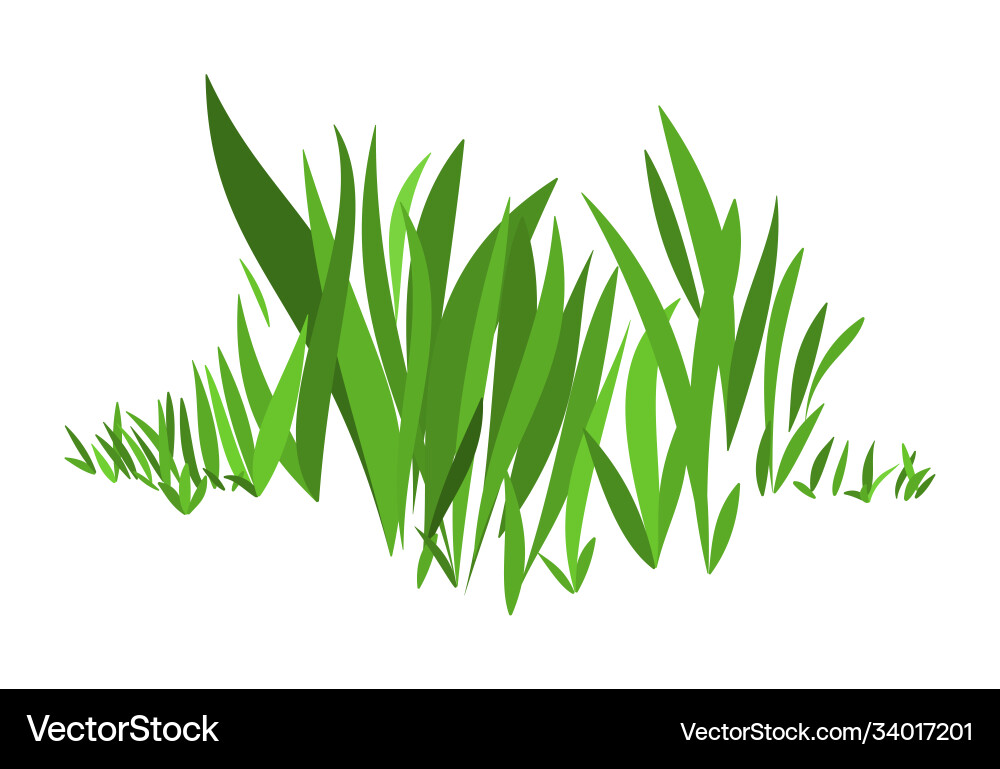 Simple stylized green grass Royalty Free Vector Image