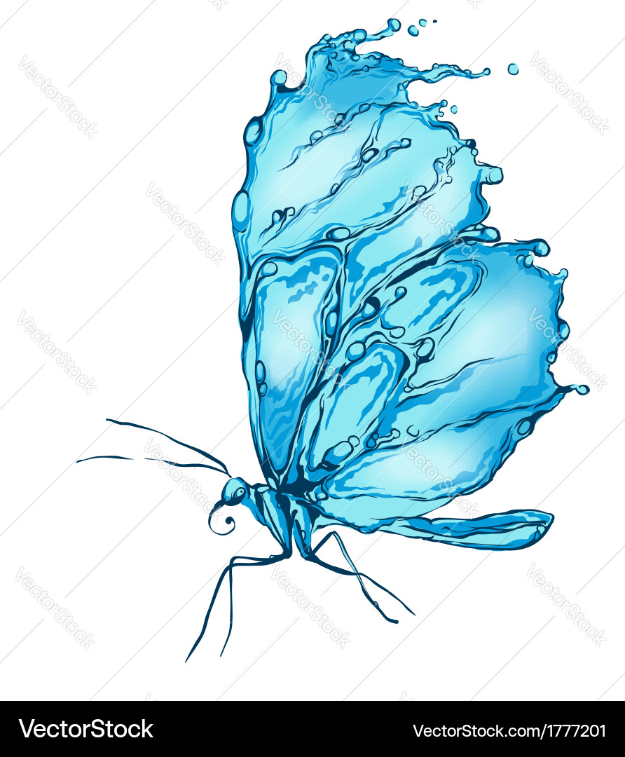 Water splash butterfly Royalty Free Vector Image