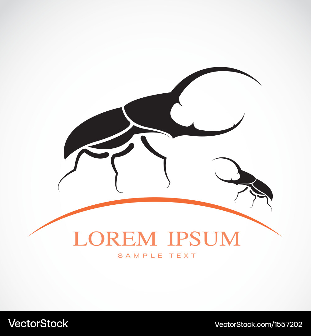 Beetle Royalty Free Vector Image - VectorStock