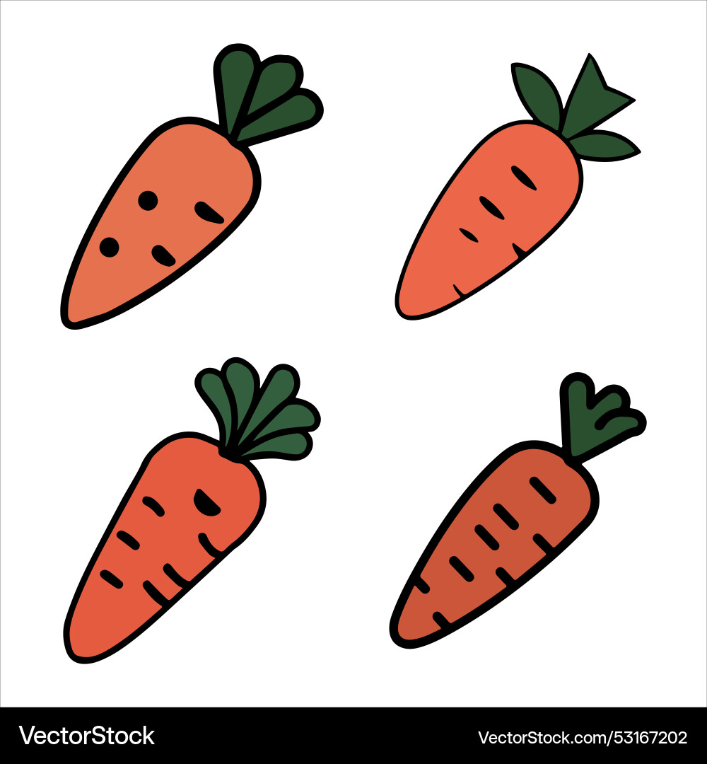 Carrot Royalty Free Vector Image - VectorStock