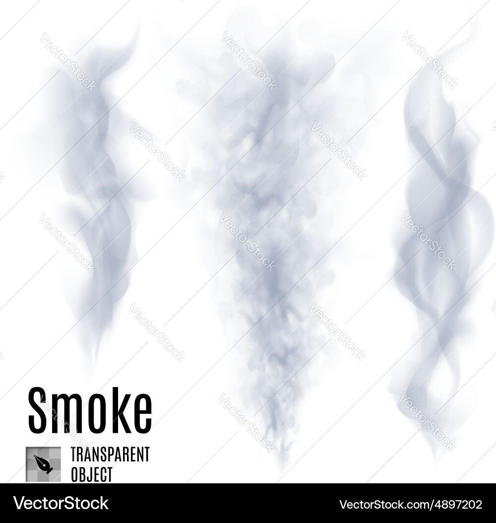 Transparent Smoke Effect Royalty Free Vector Image