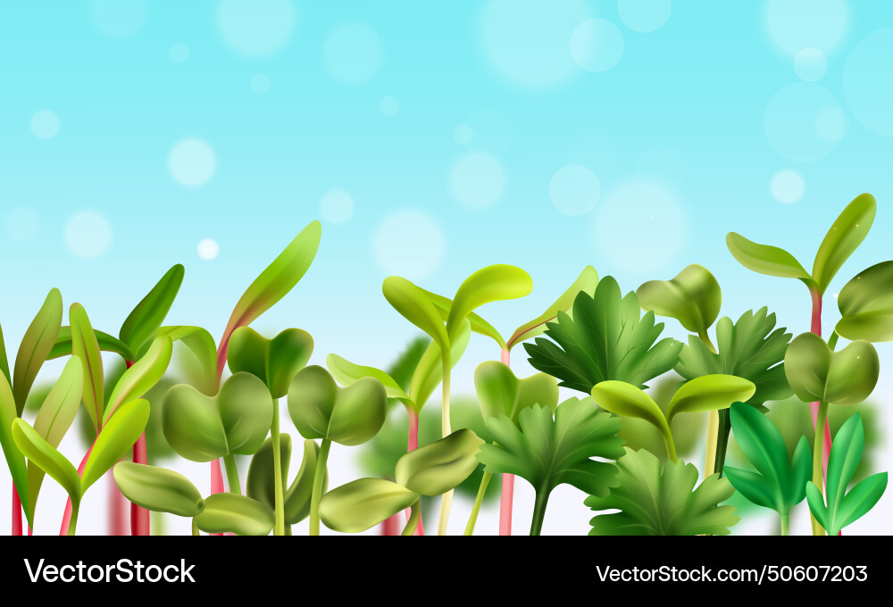 Healthy nutrition microgreens background Vector Image