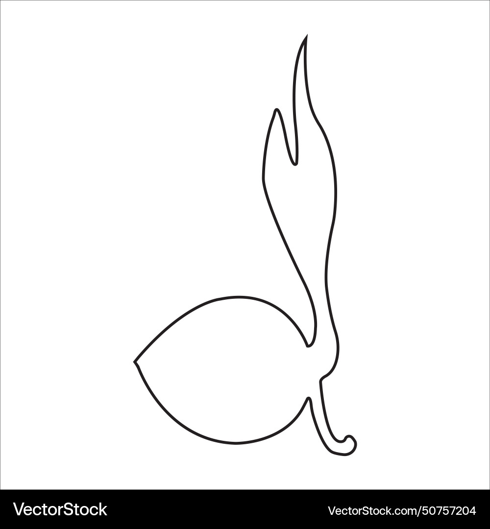 Coconut seeds icon Royalty Free Vector Image - VectorStock