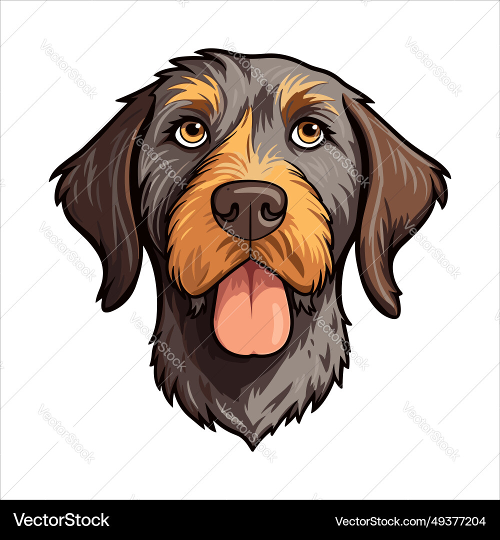 German Wirehaired Pointer Vector Images (59)