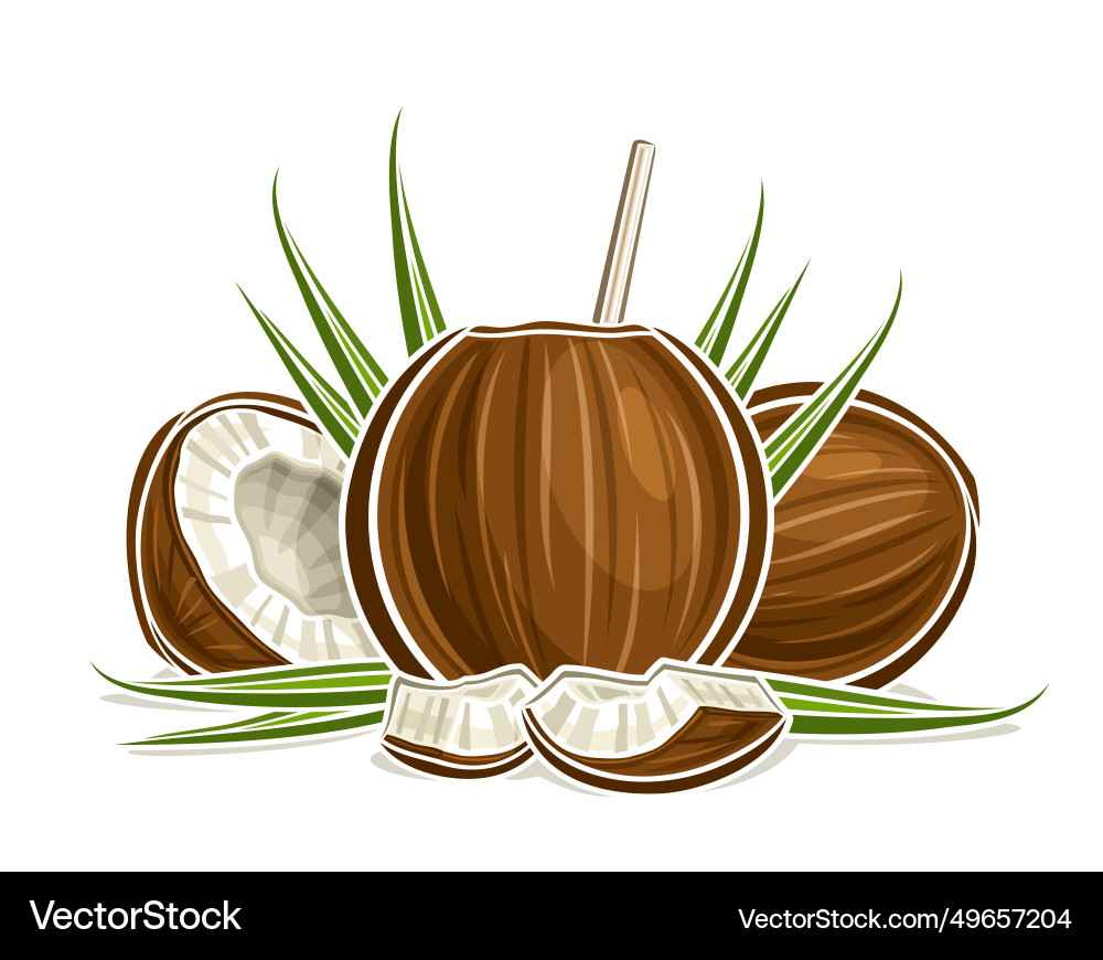Logo for coconut water Royalty Free Vector Image