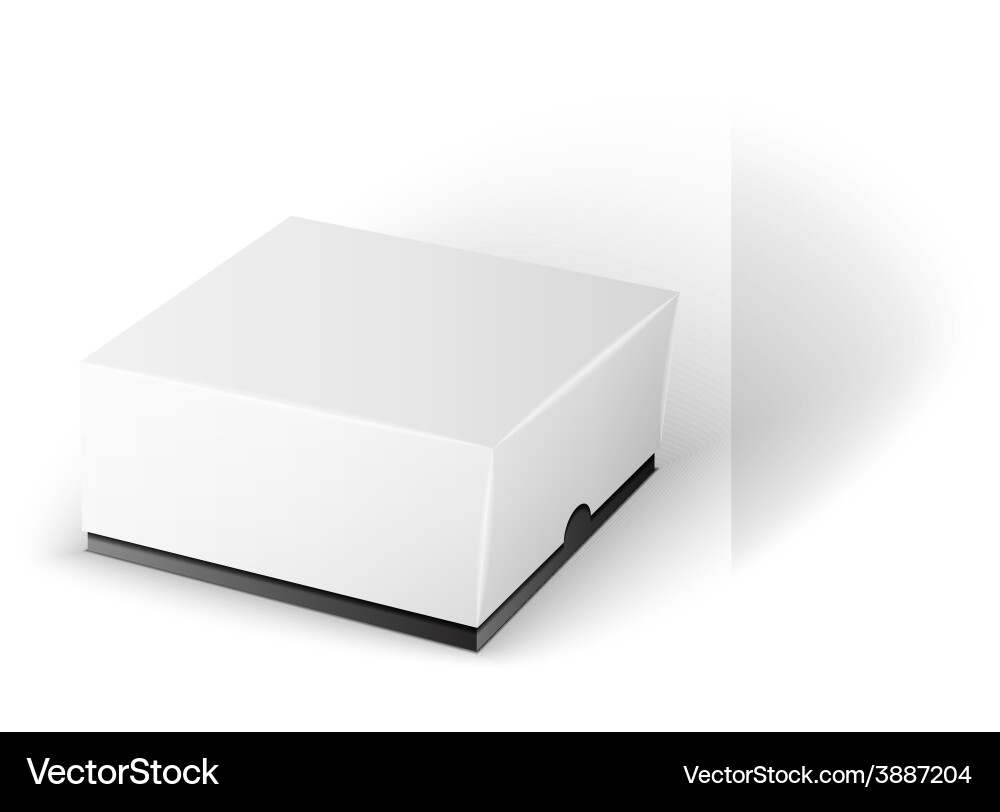White product package box isolated on Royalty Free Vector
