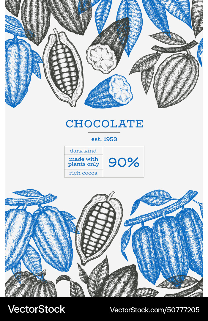 Cocoa banner template chocolate retro beans Vector Image