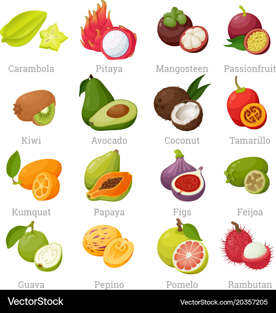 Exotic Fruits And Their Names