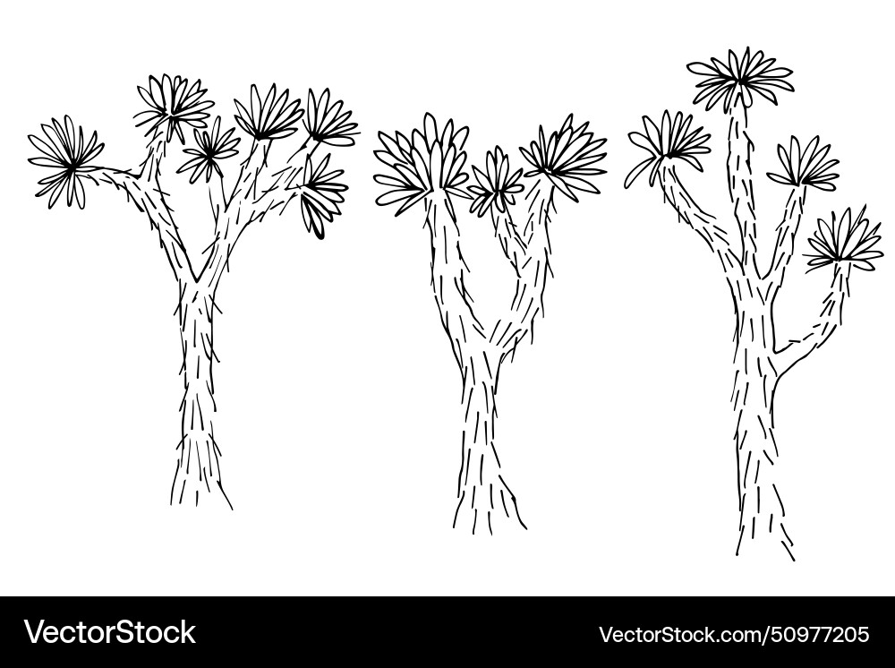 Joshua tree ink sketch hand drawn Royalty Free Vector Image