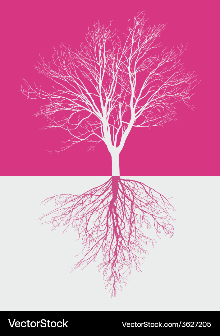 Magic bare tree with roots Royalty Free Vector Image