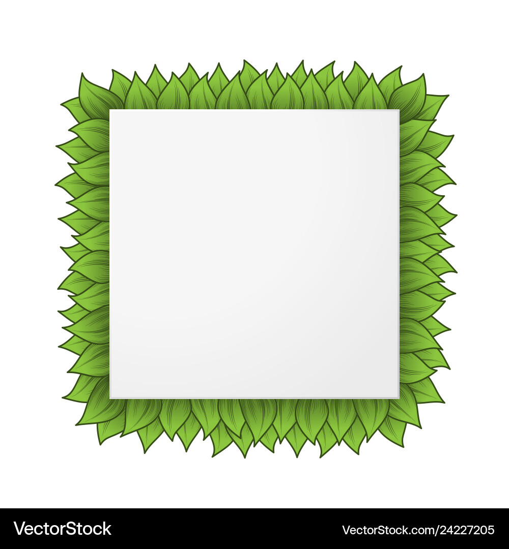 Square leaves frame Royalty Free Vector Image - VectorStock