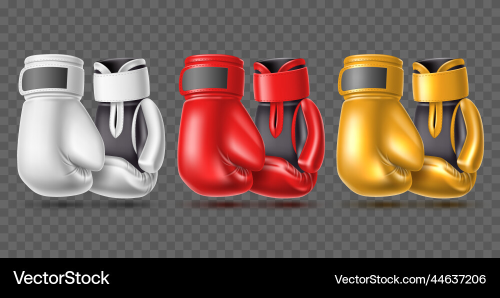 Color boxing gloves realistic professional Vector Image