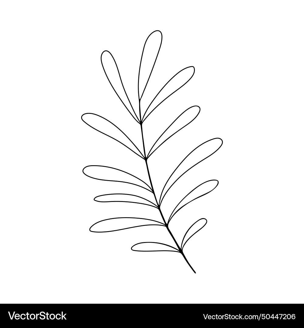 Foliage line art design for wedding card Vector Image