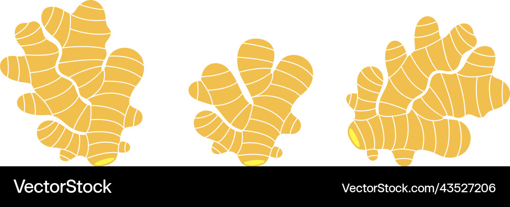 Ginger Royalty Free Vector Image - VectorStock