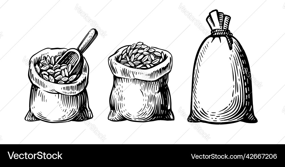 Hand drawn wheat grains in bag sketch drawing Vector Image
