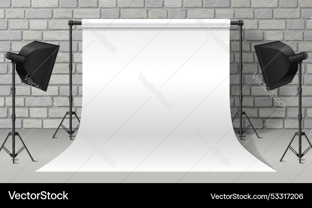 Photo studio equipment on brick wall background Vector Image