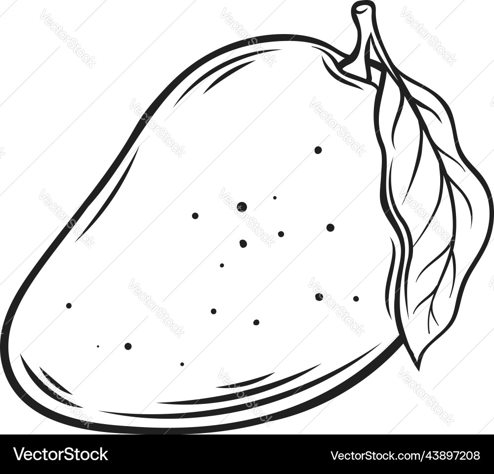 Ripe Mango Outline Royalty Free Vector Image - VectorStock