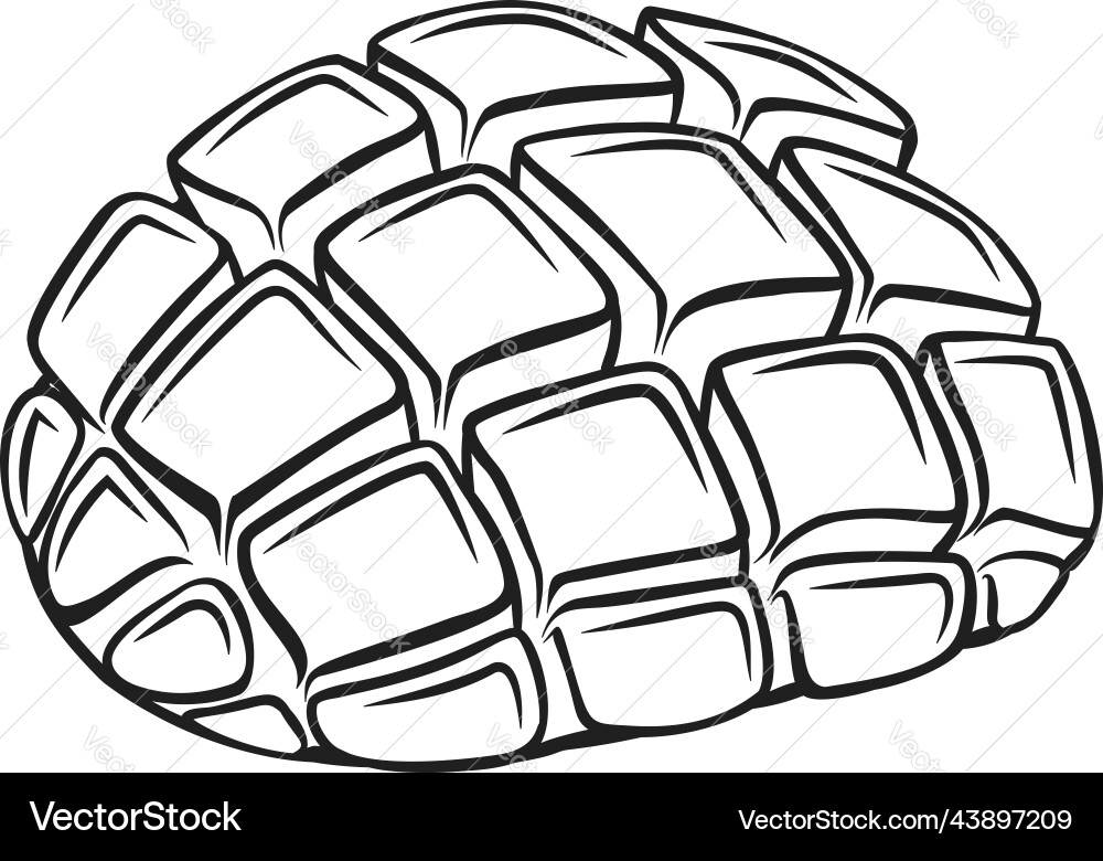 Mango cubes Royalty Free Vector Image - VectorStock