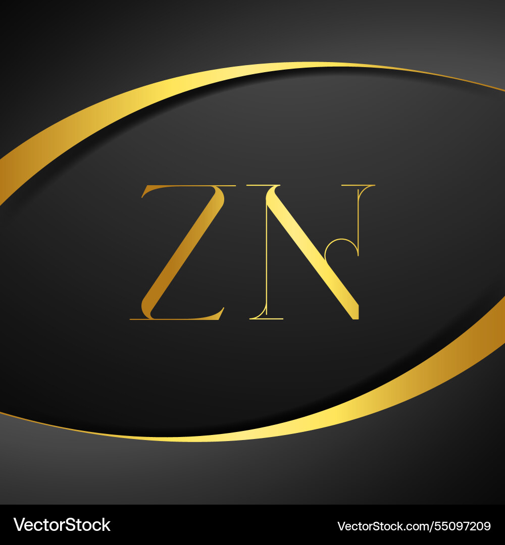 Zn luxury letter logo Royalty Free Vector Image