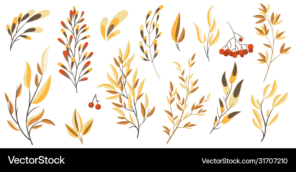 Decorative autumn branches Royalty Free Vector Image