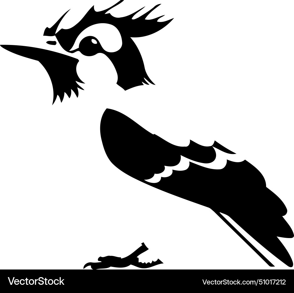 Blue jay bird isolated on white background Vector Image