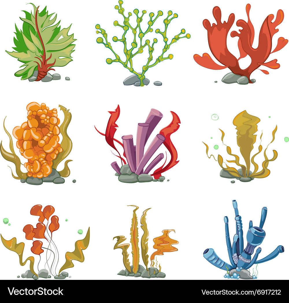 Underwater plants in cartoon style Royalty Free Vector Image