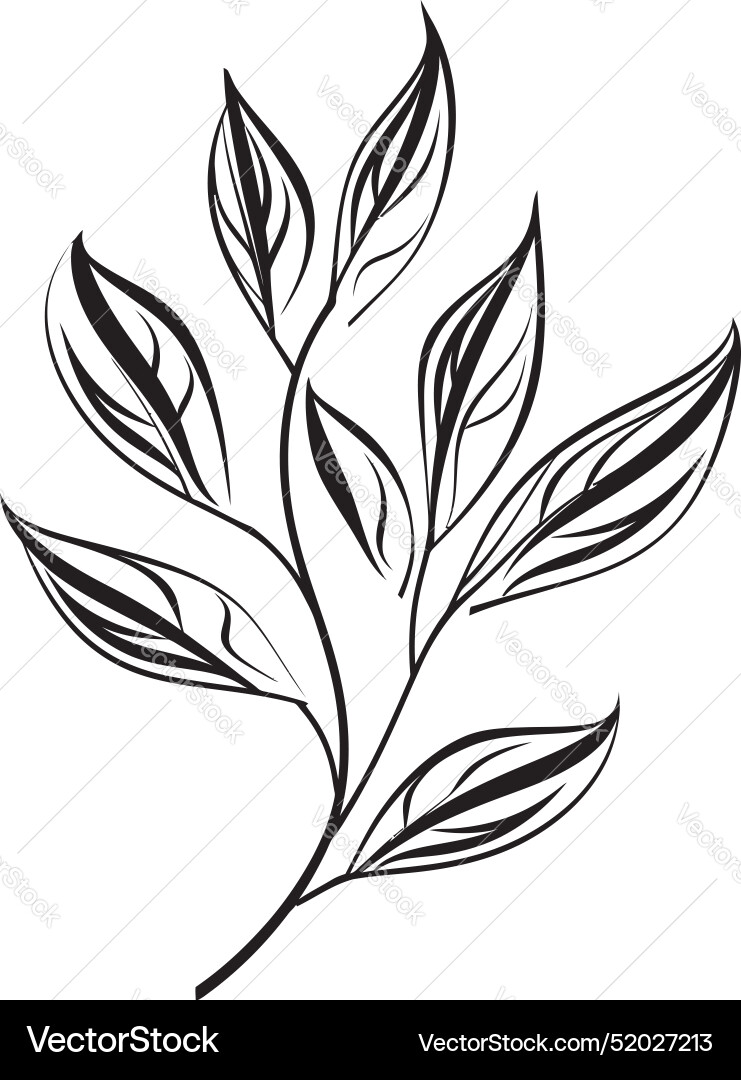 Leafy lines plant leaves emblem design botanical Vector Image