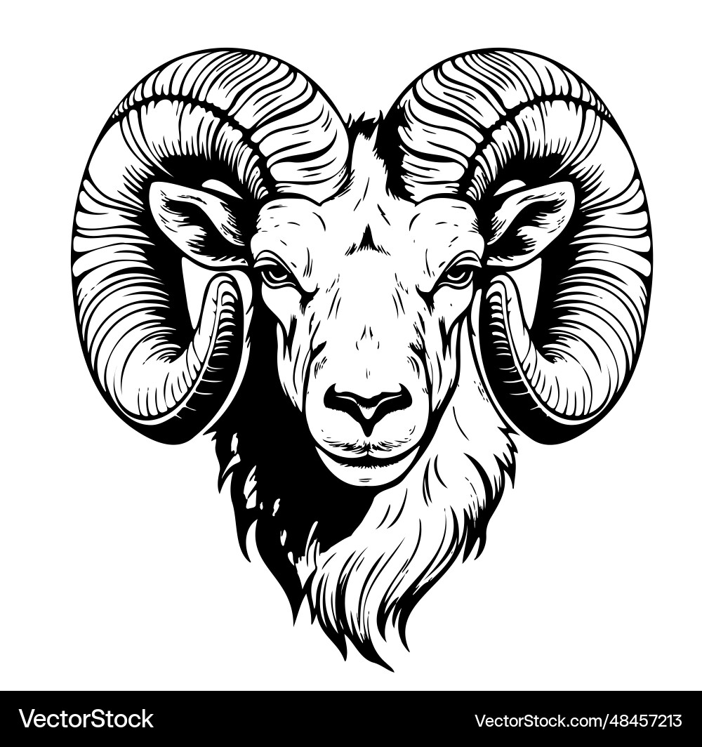 Mountain ram face hand drawn sketch Royalty Free Vector