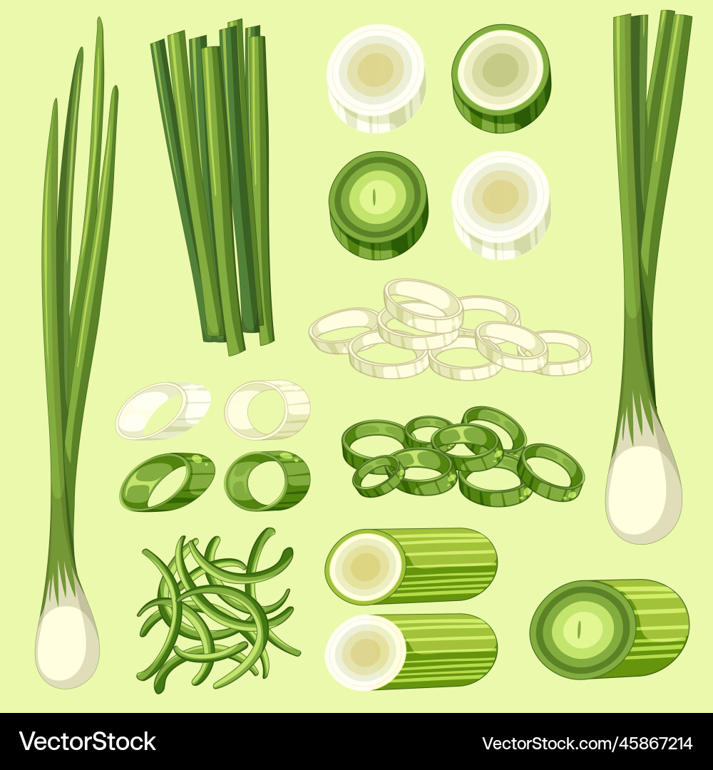 Cartoon spring onion with background Royalty Free Vector