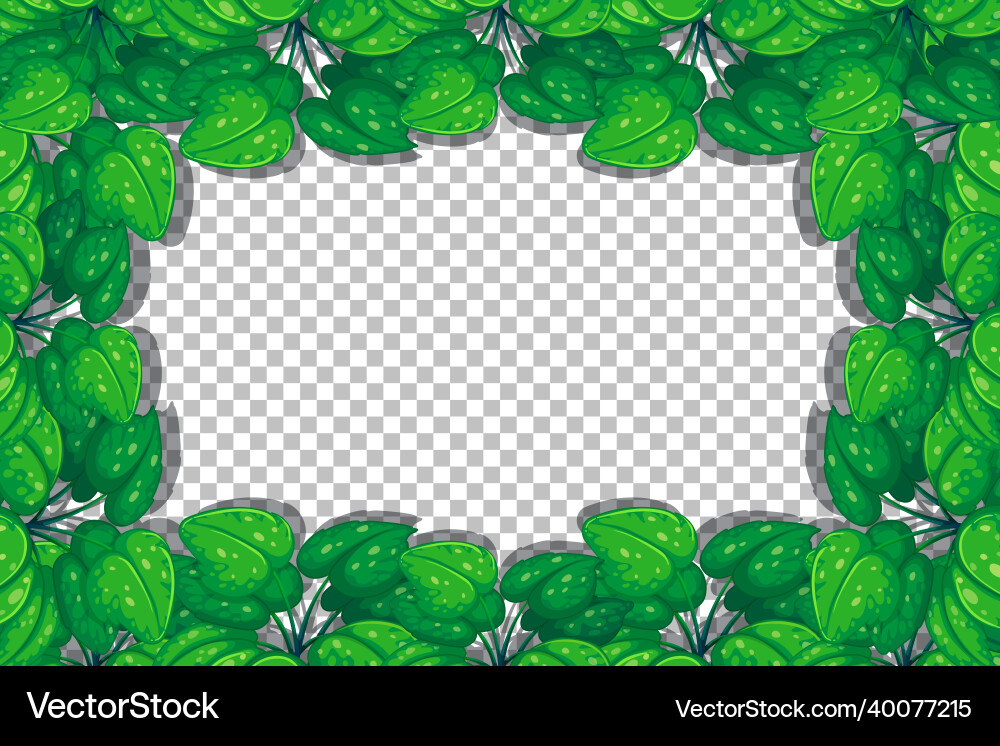 Nature plants frame transparent background Vector Image