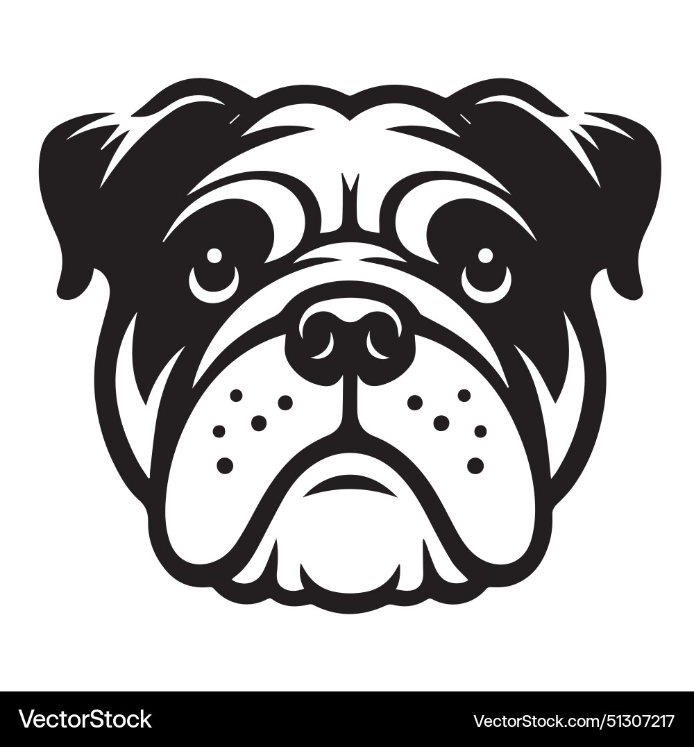 Expressive bulldog face Royalty Free Vector Image