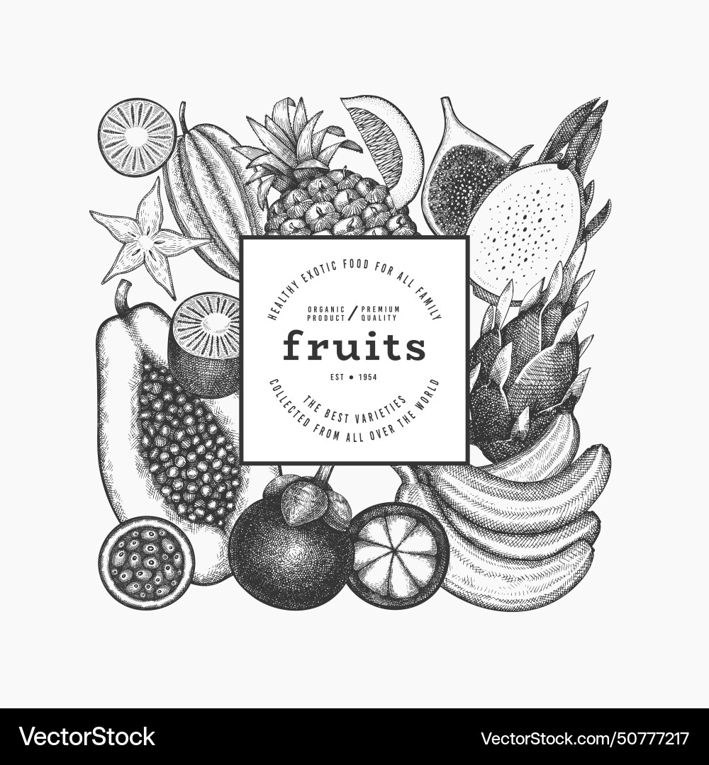 Tropical fruit design template hand drawn exotic Vector Image