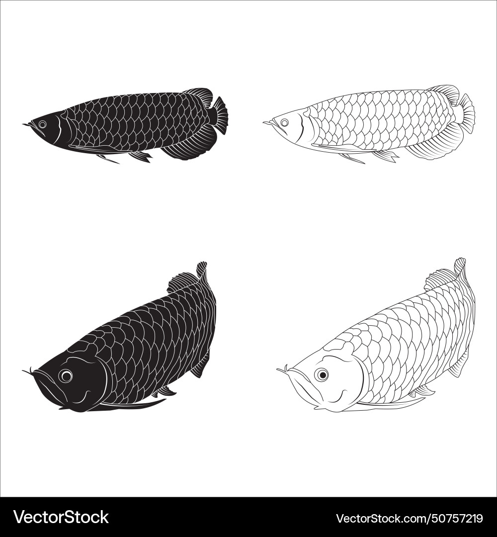 Arowana fish icon Royalty Free Vector Image - VectorStock