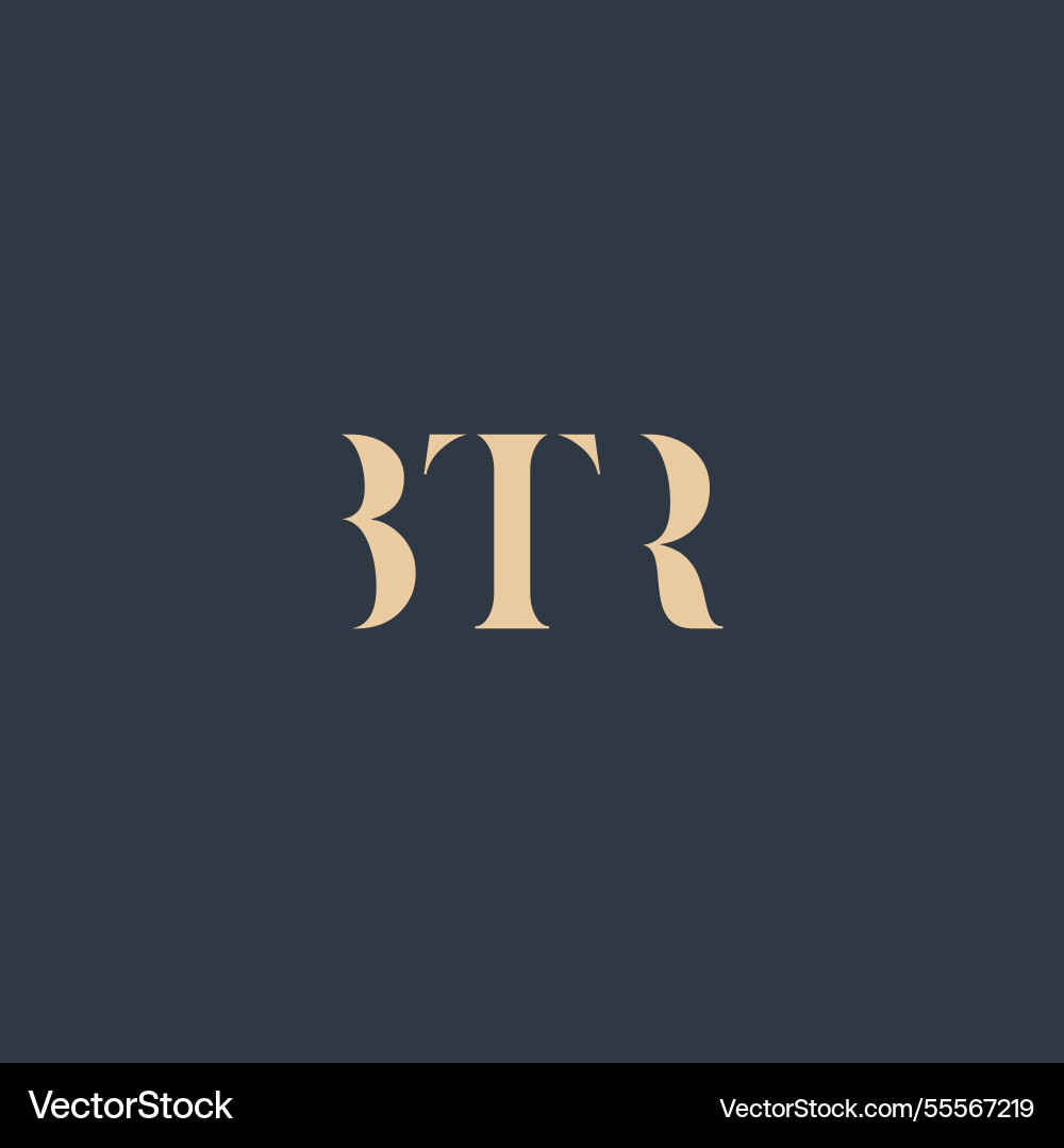 Btr abstract letter logo Royalty Free Vector Image