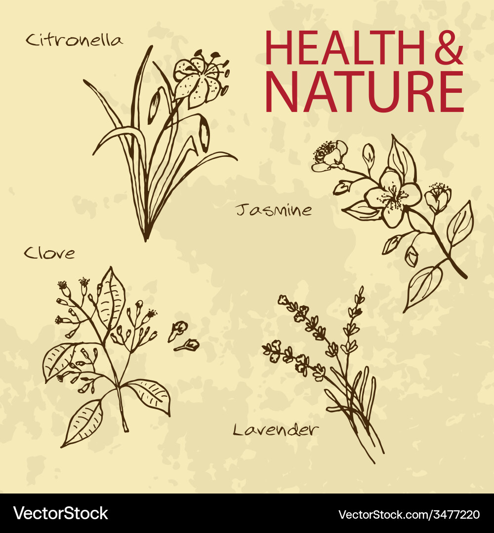 Handdrawn - health and nature set Royalty Free Vector Image