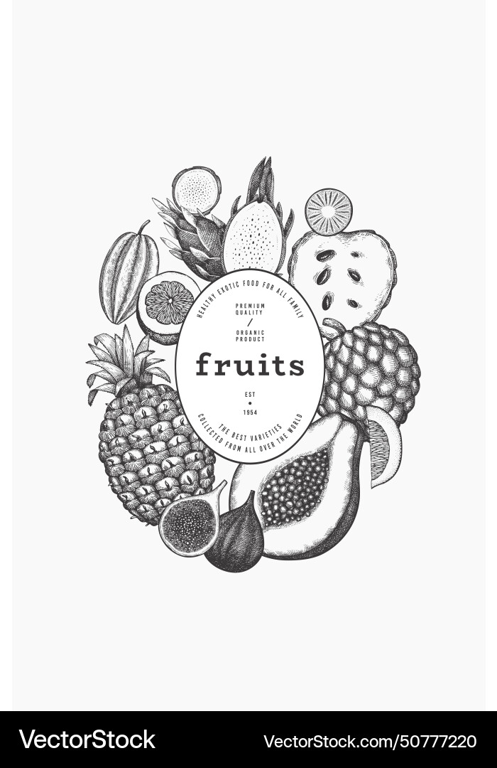 Tropical fruit design template hand drawn exotic Vector Image