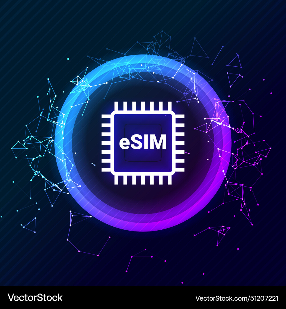 Esim chip card concept icon embedded sim Vector Image